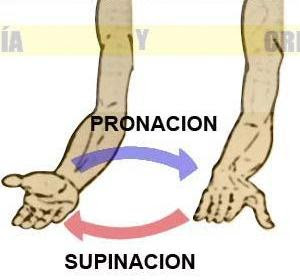 MIRADA Y VISIÓN- ANDRÉS PUCH: TÉRMINOS DE MOVIMIENTO